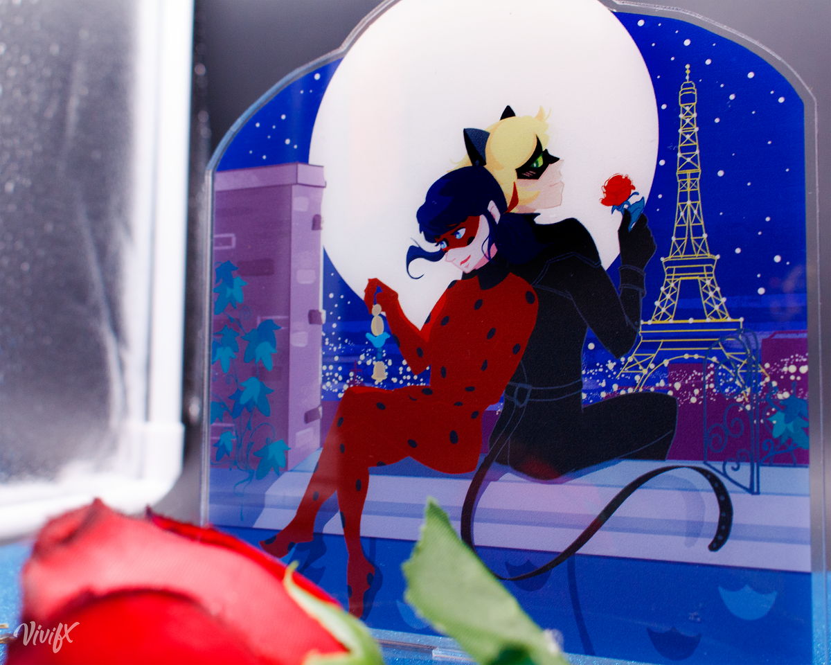 Miraculous Ladybug Double-Sided LadyNoir Acrylic Stand – Vivifx